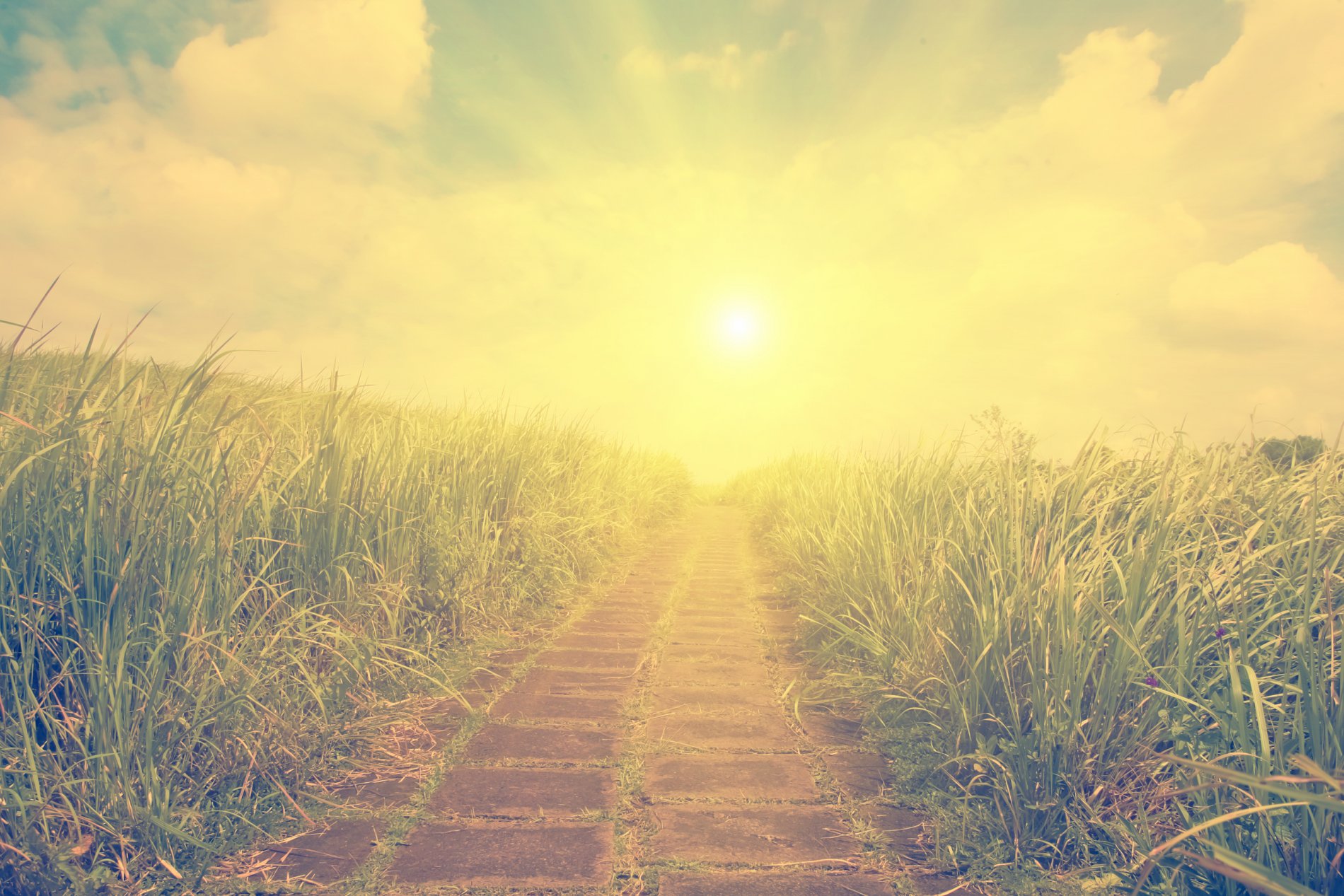 THE PATH TO GLORY – PART FOUR - Buford Church of Christ