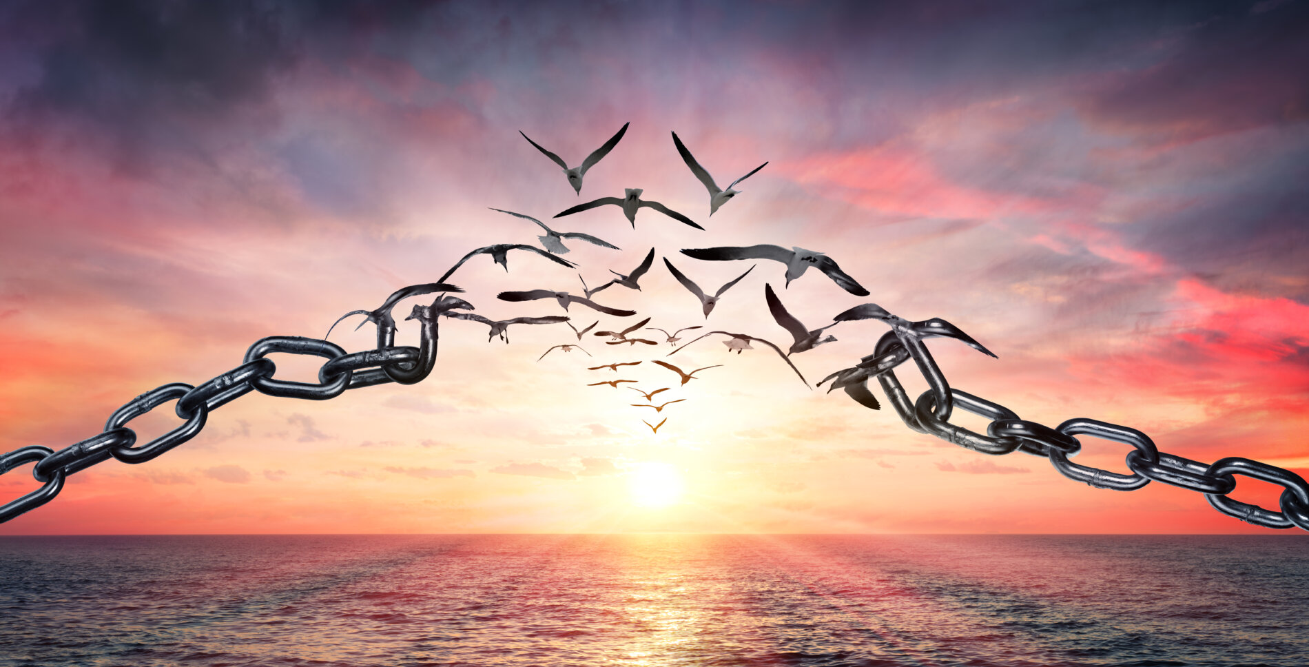 The Blessing of Freedom - Buford Church of Christ